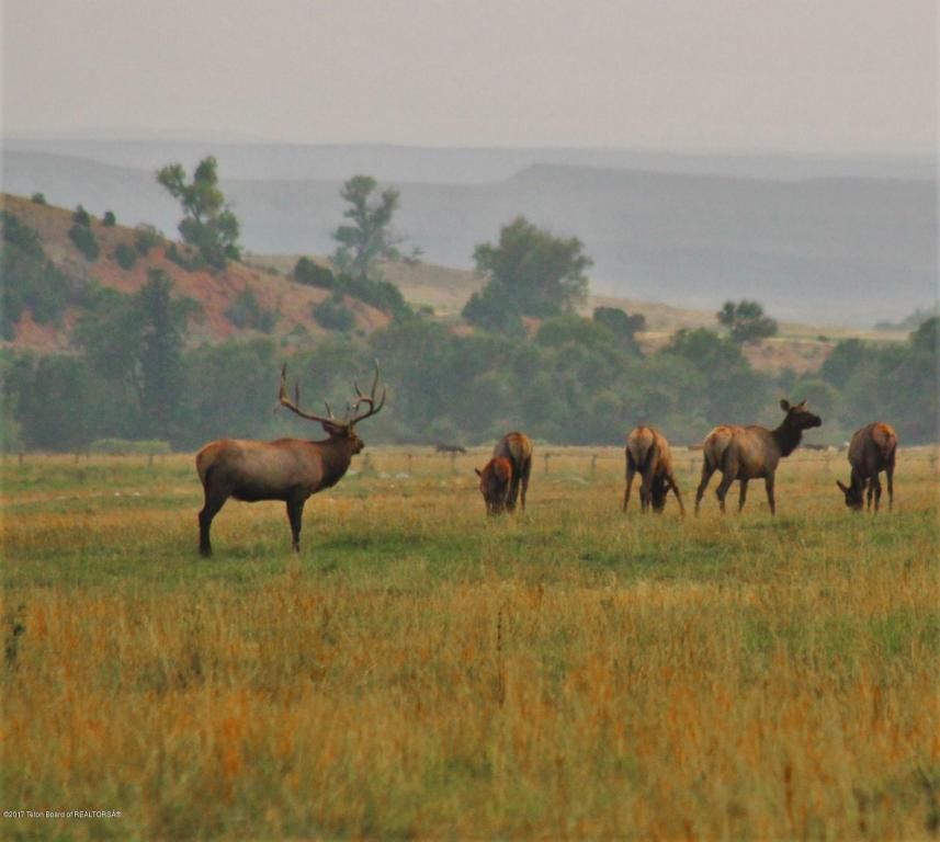 7,177 Acres, PAINT ROCK CANYON RANCH, Hyattville, WY 82428 | Land and Farm