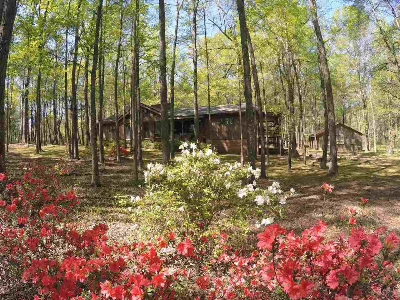 41.9 Acres, 180 PLYLER RD, Pageland, SC 29718 | Land and Farm