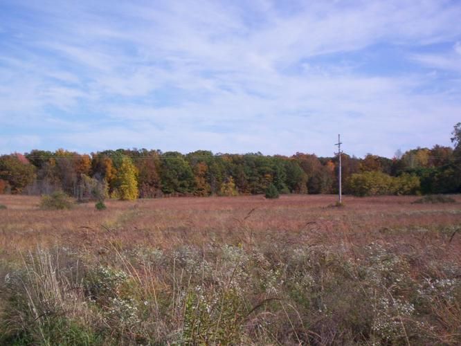 6450 Mertz Rd, Mayville, MI 48744 | Land and Farm