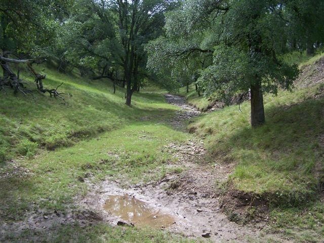 258 acres in Voca, TX, | Land and Farm