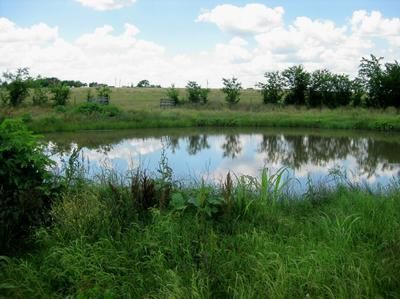 205 J.T. Ranch Road, Ennis, TX 75119 | Land and Farm