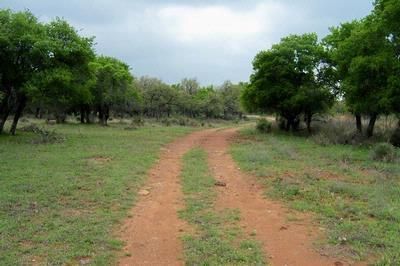 105 PVT 607, Voca, TX 76887 | Land and Farm