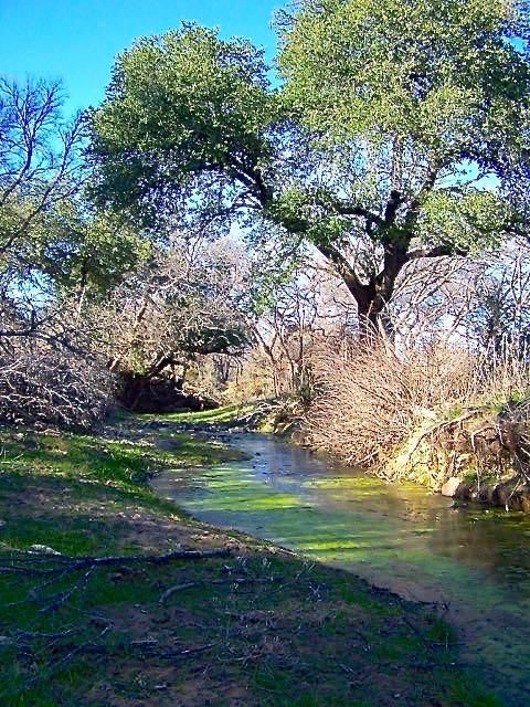 870 acres in Cherokee, TX, 76832 | Land and Farm