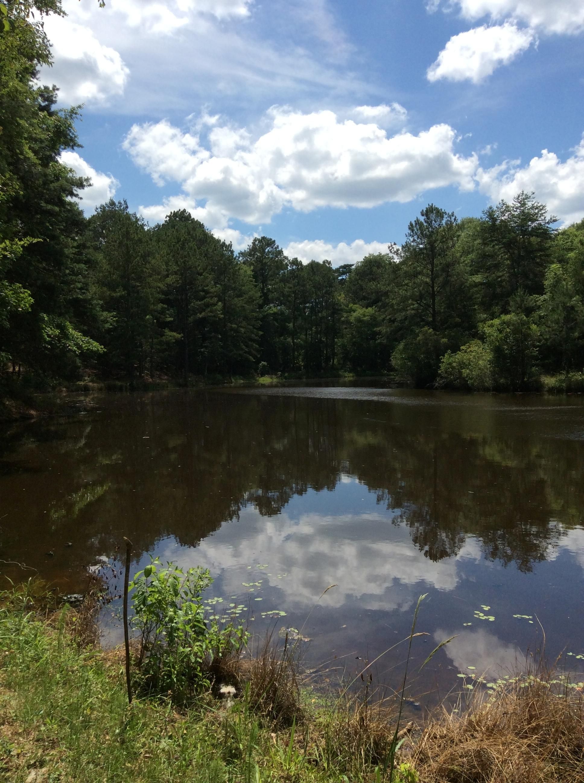 67 acres in Evergreen, AL, 36401 | Land and Farm