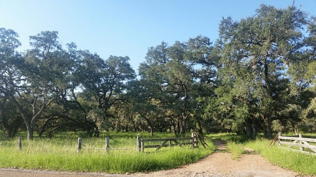 1697 Green DeWitt Rd., Cuero, TX 77954 | Land and Farm