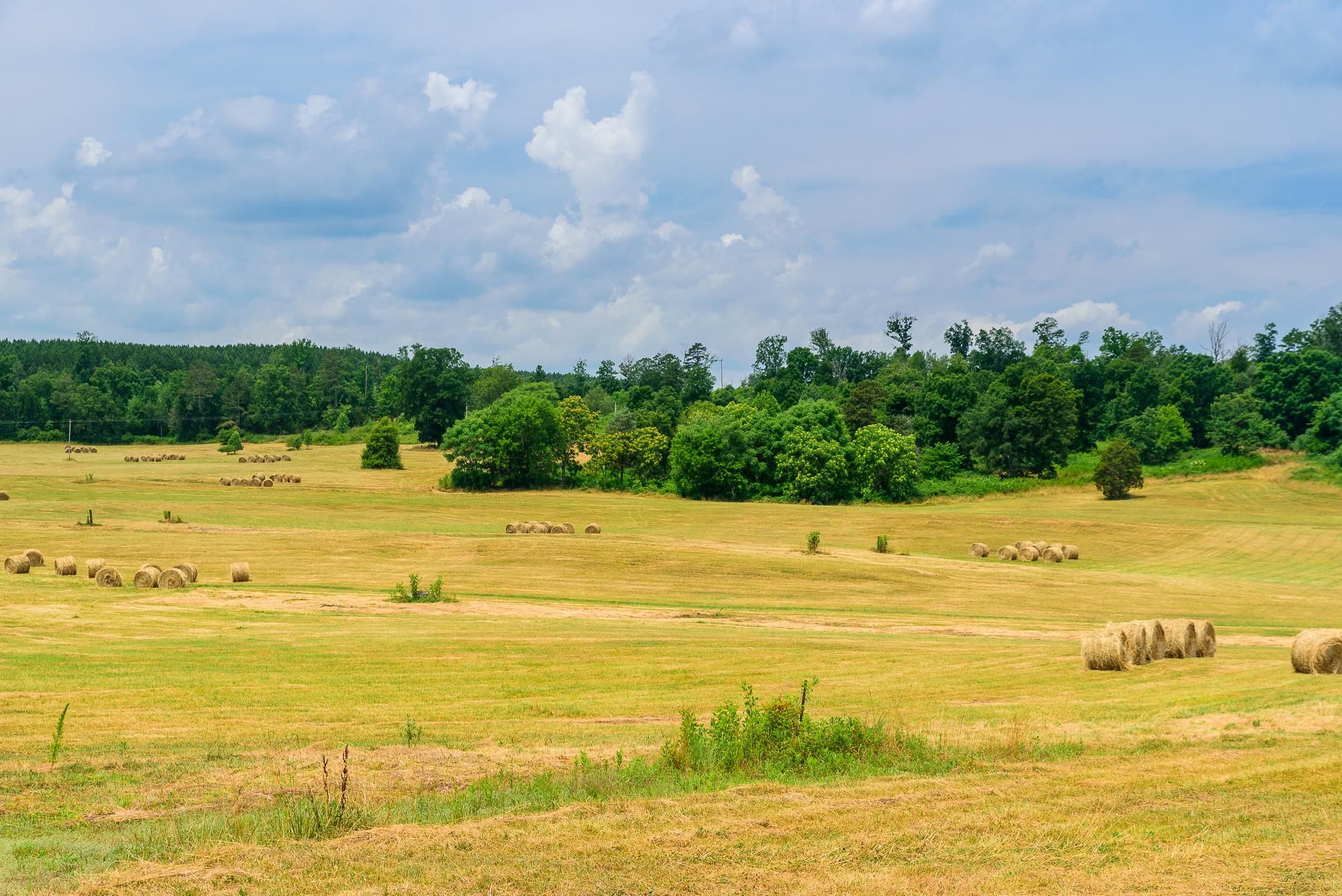 70 Acres, 3118 Lead Mine Valley Rd, Cleveland, TN 37311 | Land and Farm