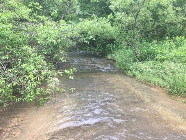 87 Acres, 237 Goose Creek Ln, Monroe, TN 38573 | Land and Farm