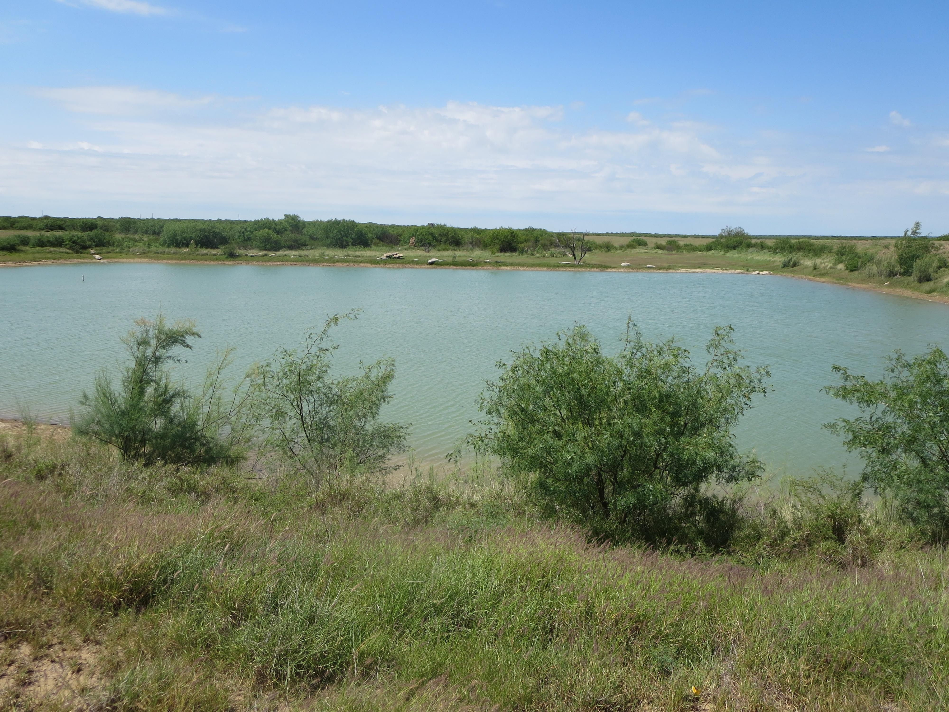 Palo Blanco Road, Asherton, TX 78827 | Land and Farm