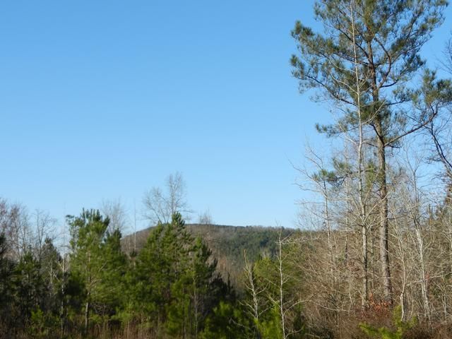160 Acres, County Road 18, Millerville, AL 35160 | Land and Farm