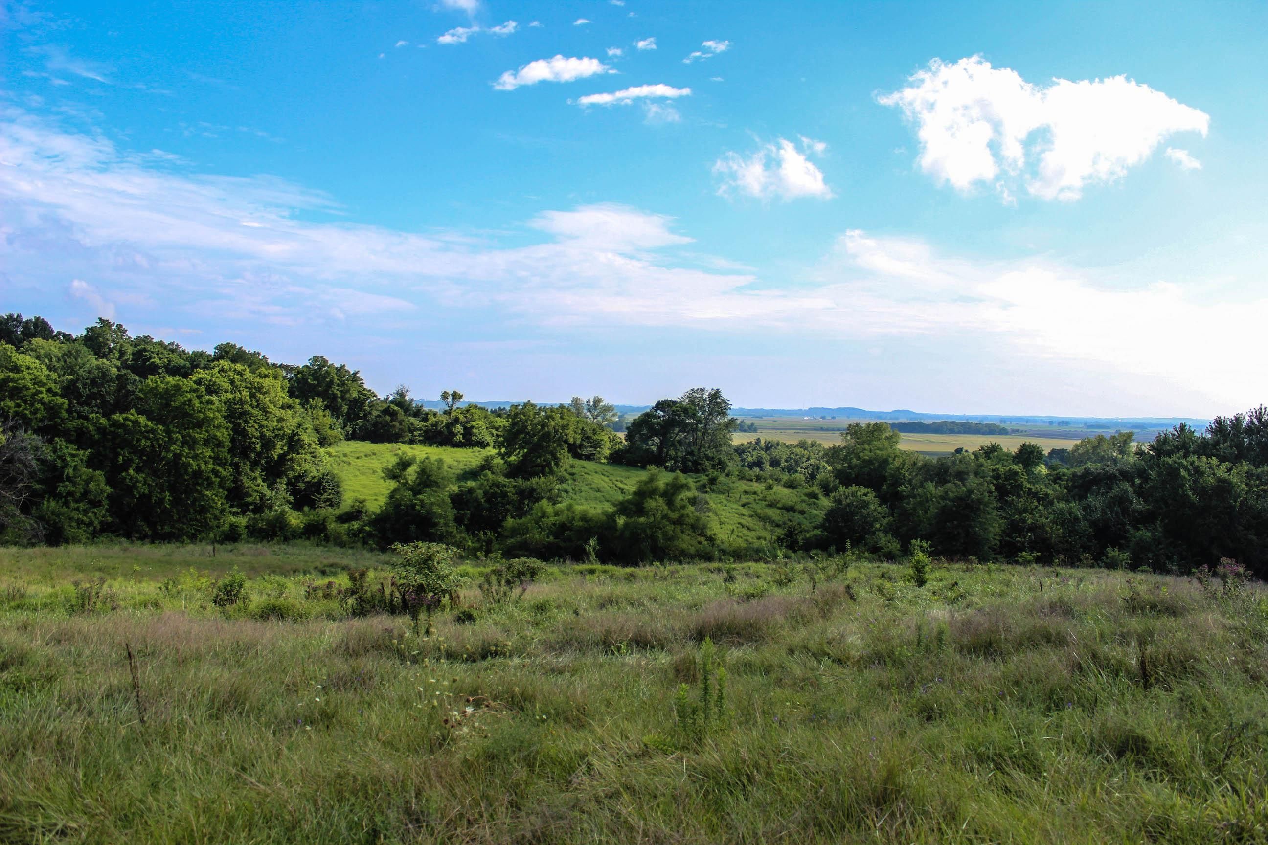 Hwy T, Orrick, MO 64077 | Land and Farm