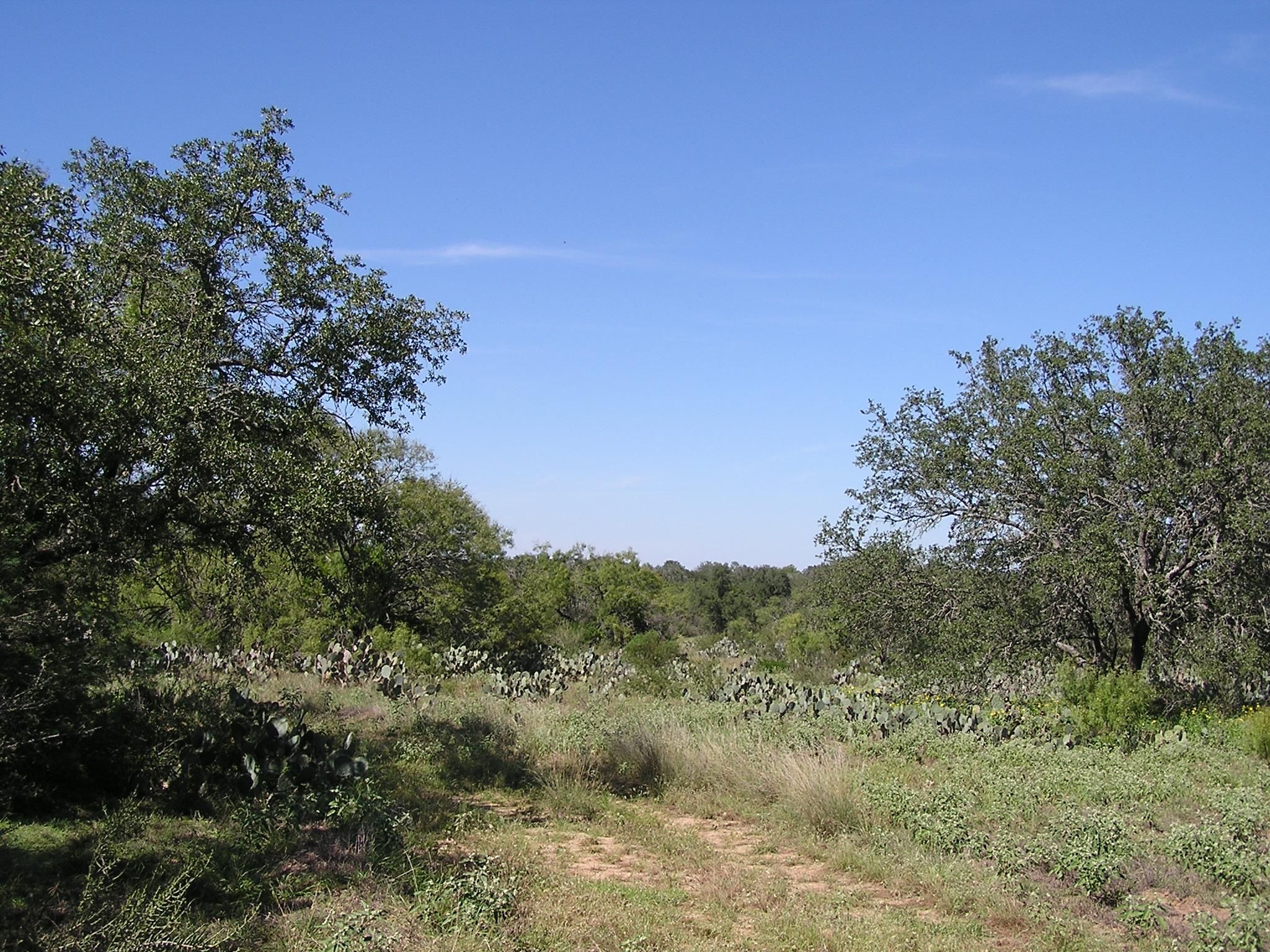 690 acres in Moore, TX, 78057 | Land and Farm