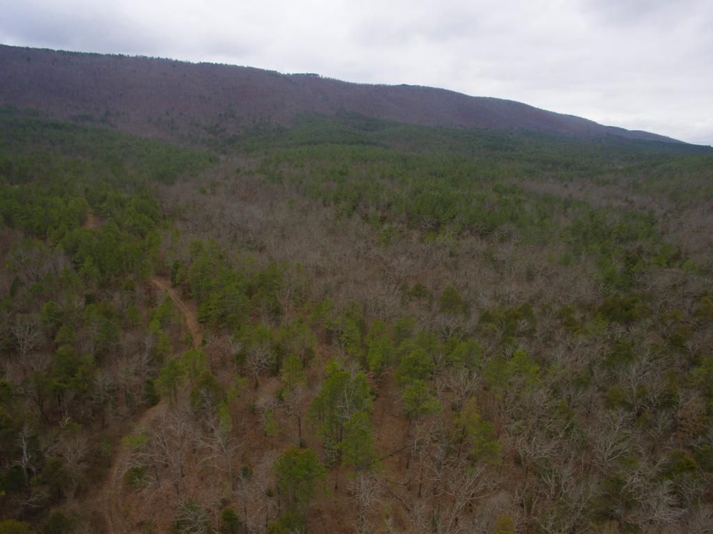 80 acres in Hodgen, OK, 74930 | Land and Farm