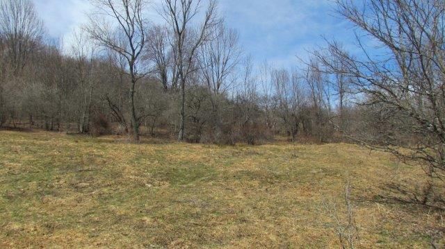 Wildman Road, Solon, NY 13040 | Land and Farm