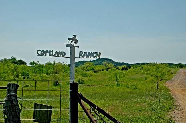 1,000 Acres, FM 207, Strawn, TX 76475 | Land and Farm