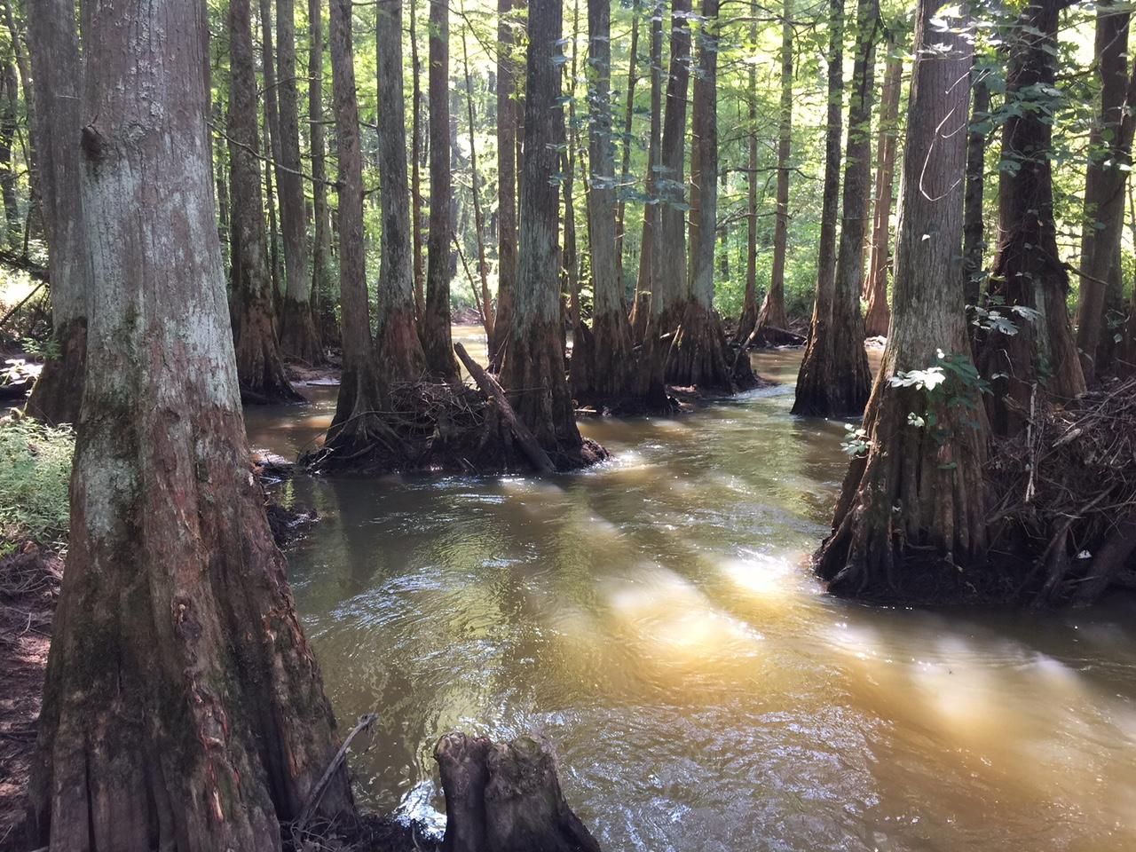 418 acres in Moscow, TN, 38057 | Land and Farm