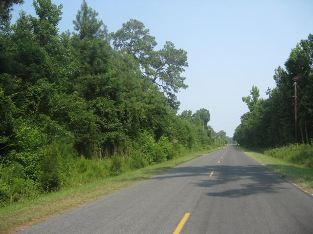 Ruffin Road, Ruffin, SC 29475 | Land and Farm