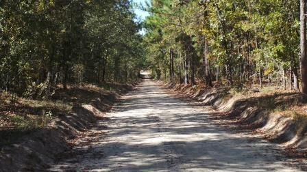 107 Acres, Perry, SC 29137 | Land and Farm