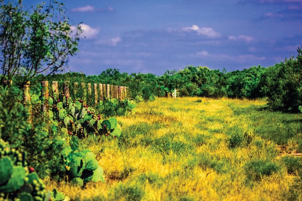 2,002 acres in Encinal, TX, 78019 | Land and Farm