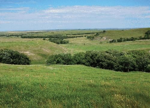 22,103 acres in McLaughlin, SD, 57642 | Land and Farm