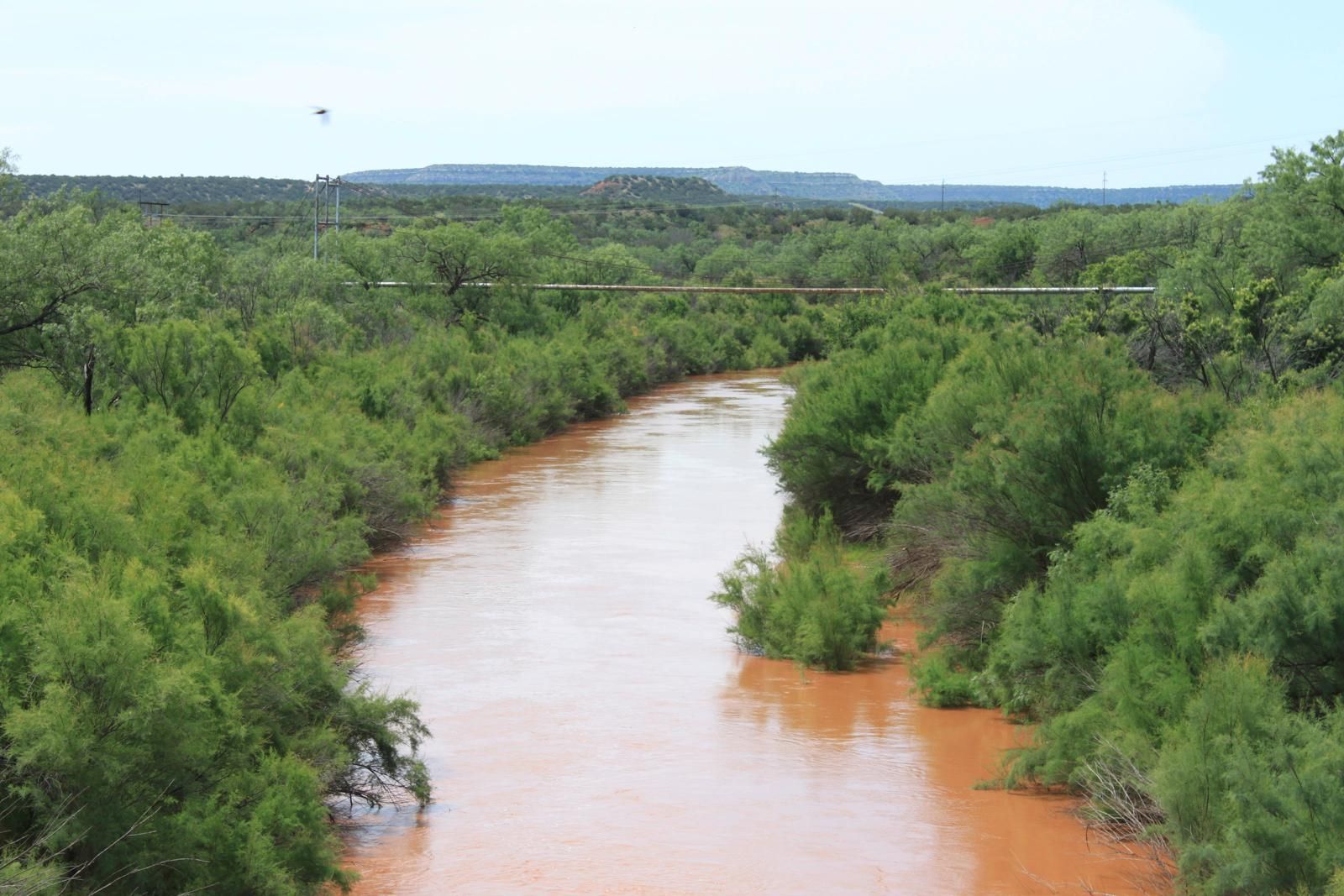 3,000 acres in Robert Lee, TX, 76945 | Land and Farm