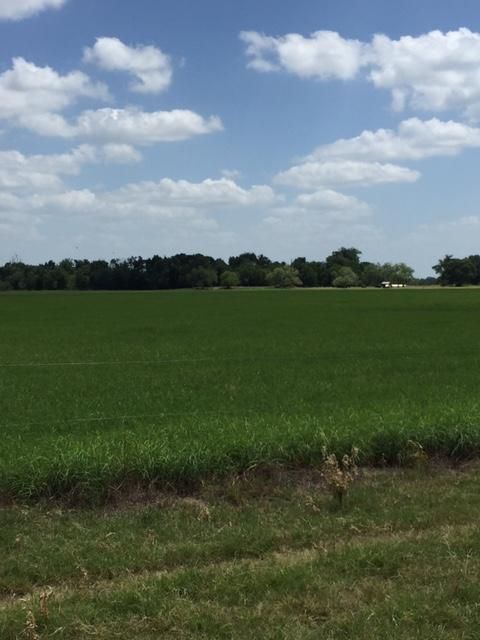 CR 257, Reagan, TX 76680 | Land and Farm