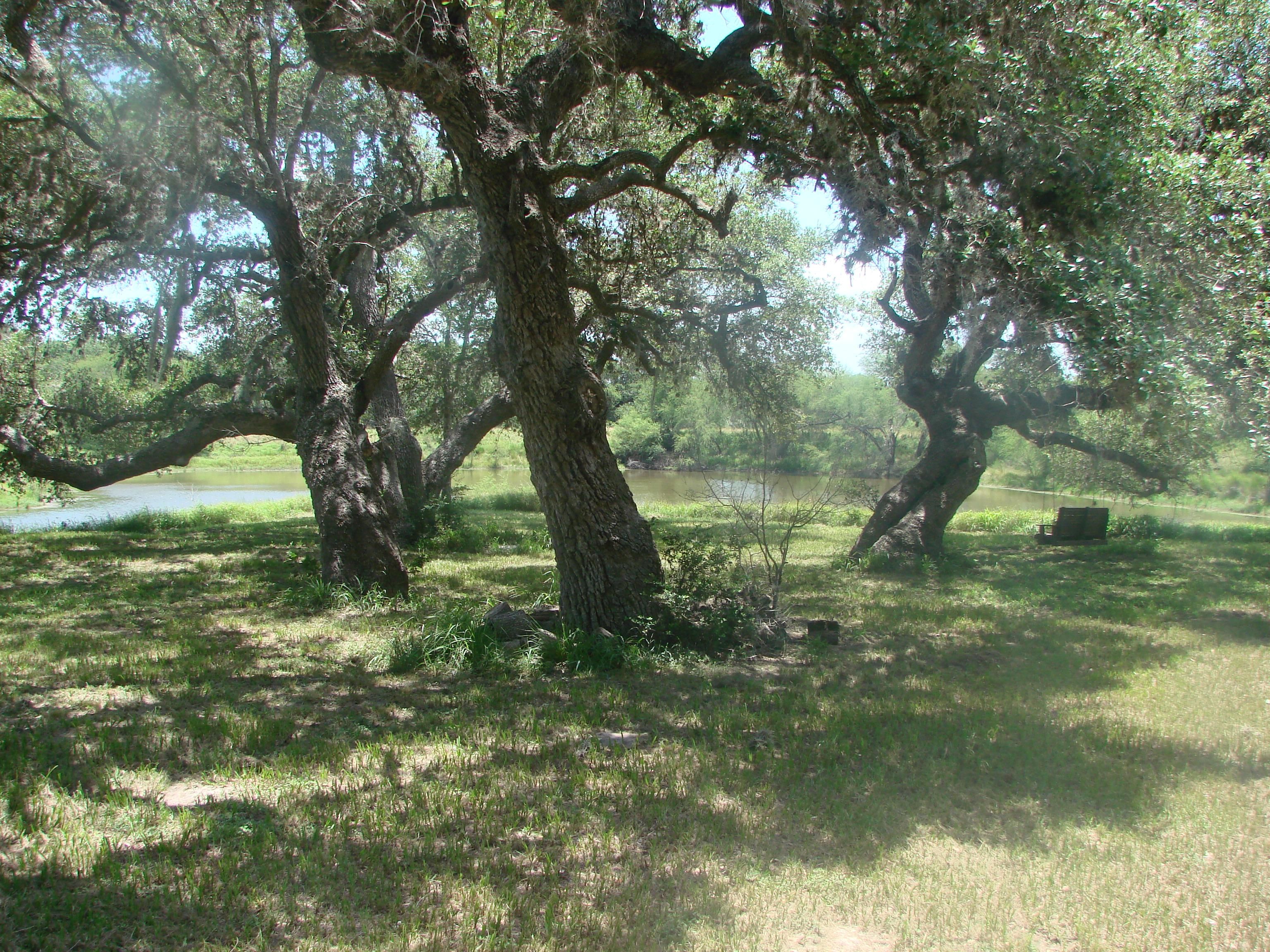 Fox Rd, Ander, TX 77963 | Land and Farm