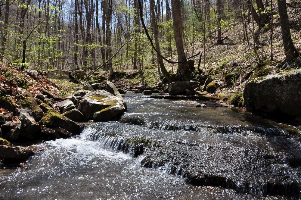 301 Acres, 150 Ellison Ridge Road, Ghent, WV 25843 | Land and Farm