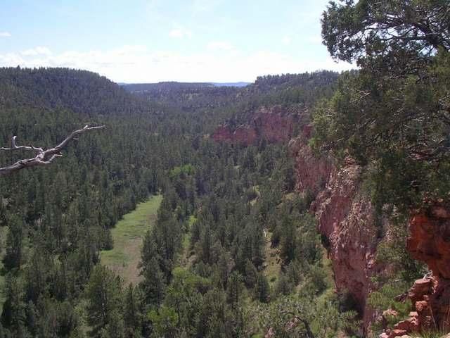 CANYON RIM RANCH ROAD, Pringle, SD 57730 | MLS: 127325 | Land and Farm