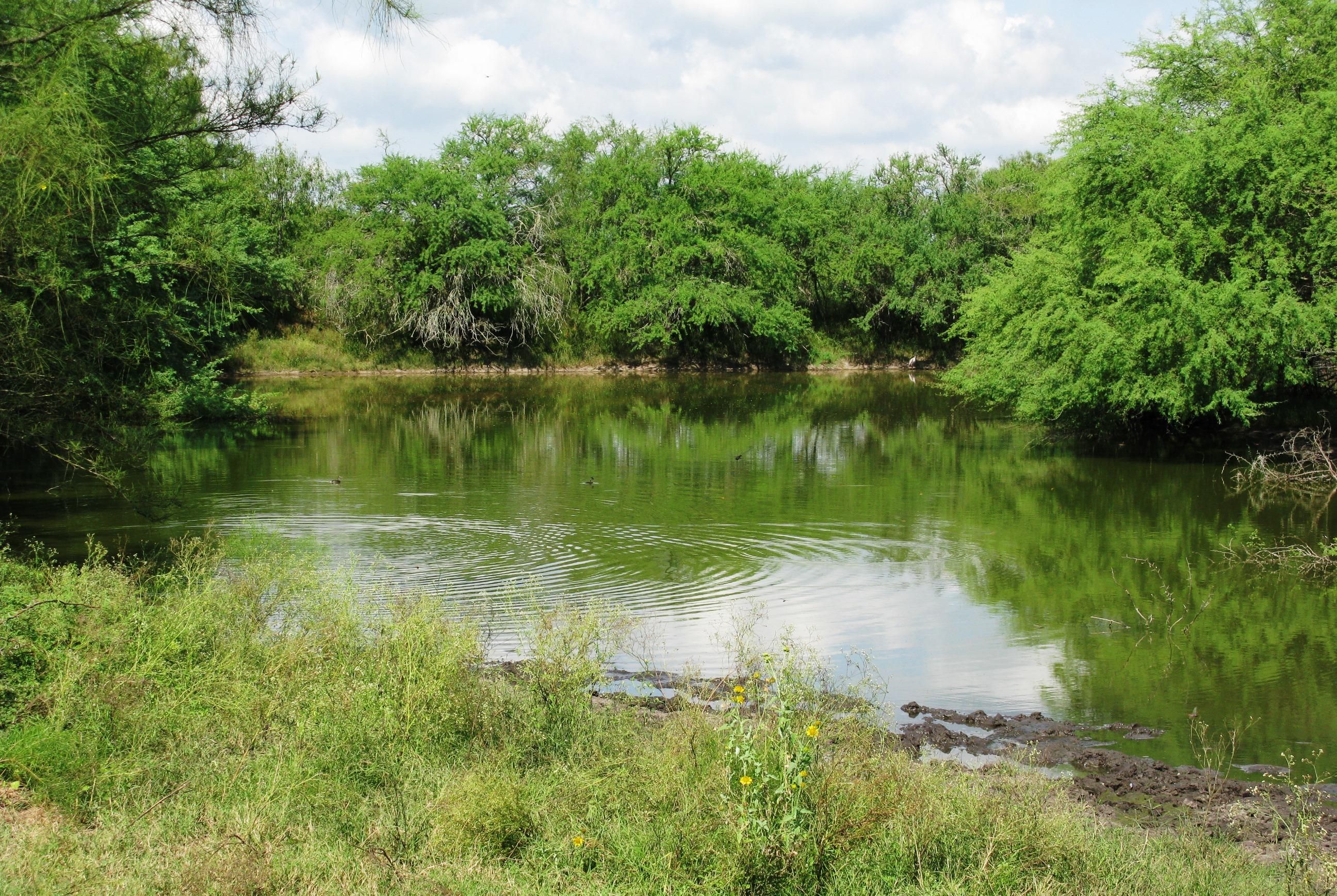 CR 343, George West, TX 78022 | Land and Farm
