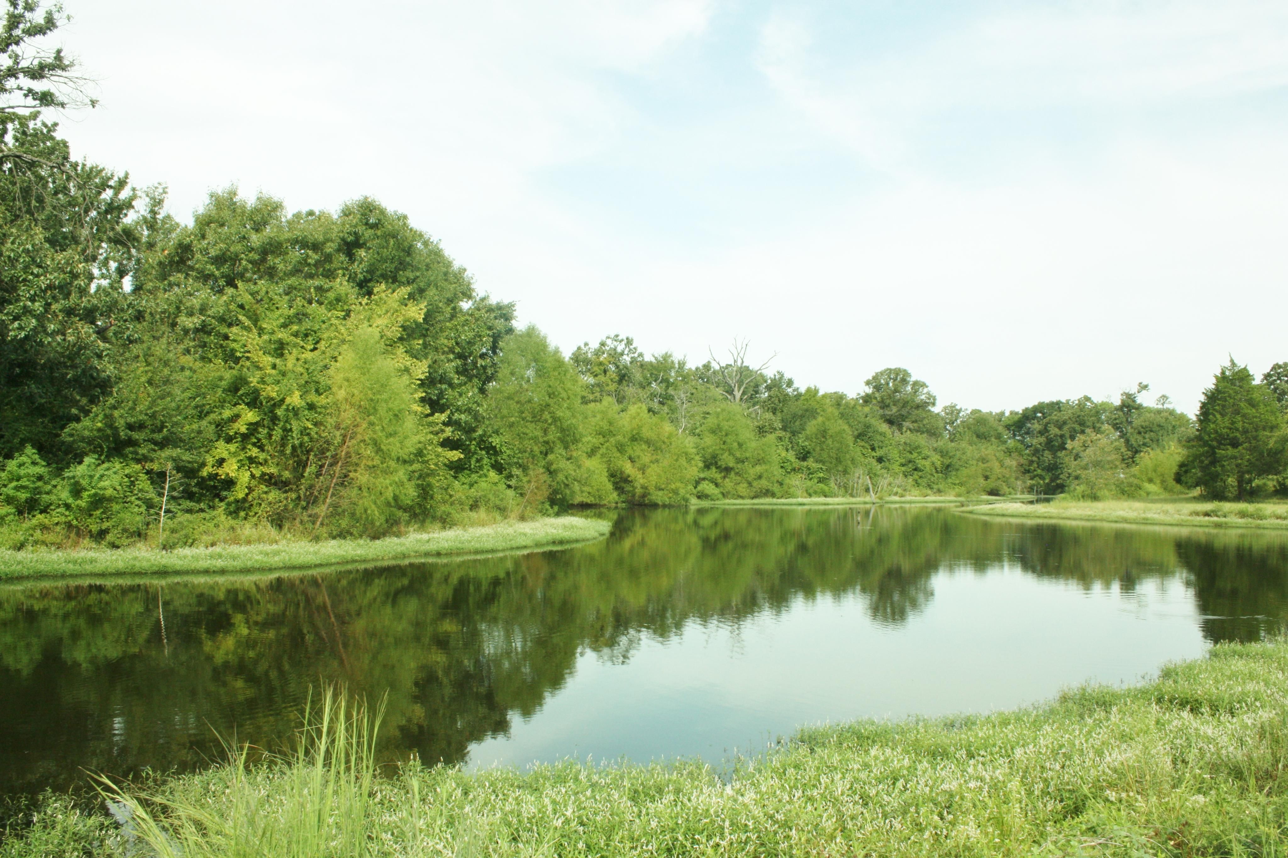 0000 WC Road 1951, Yantis, TX 75497 | Land and Farm