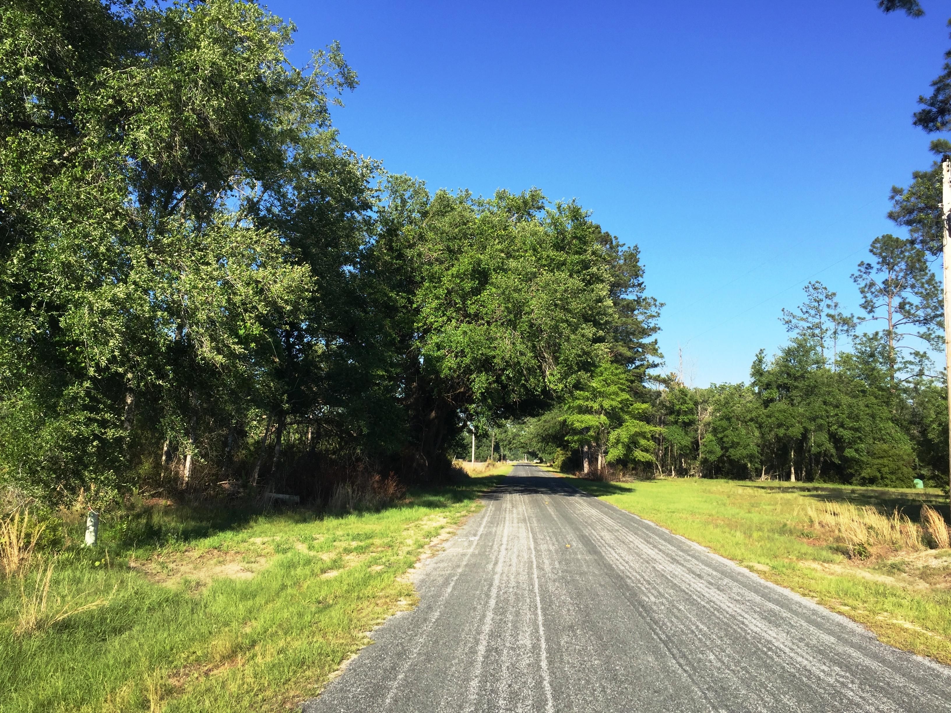 Paradise Road, Ruffin, SC 29475 | Land and Farm