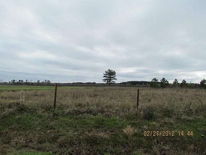 20 Acres, CR 2276, Cleveland, TX 77327 | Land and Farm