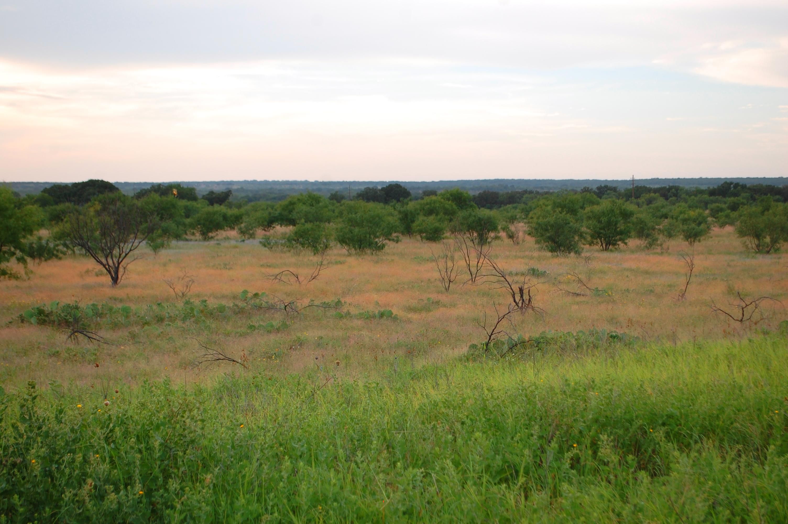 88.5 Acres, Sipe Springs, TX 76444 | Land and Farm