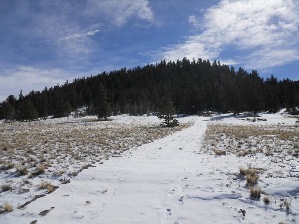 1108 Lariat Loop, Hartsel, CO 80449 | Land and Farm