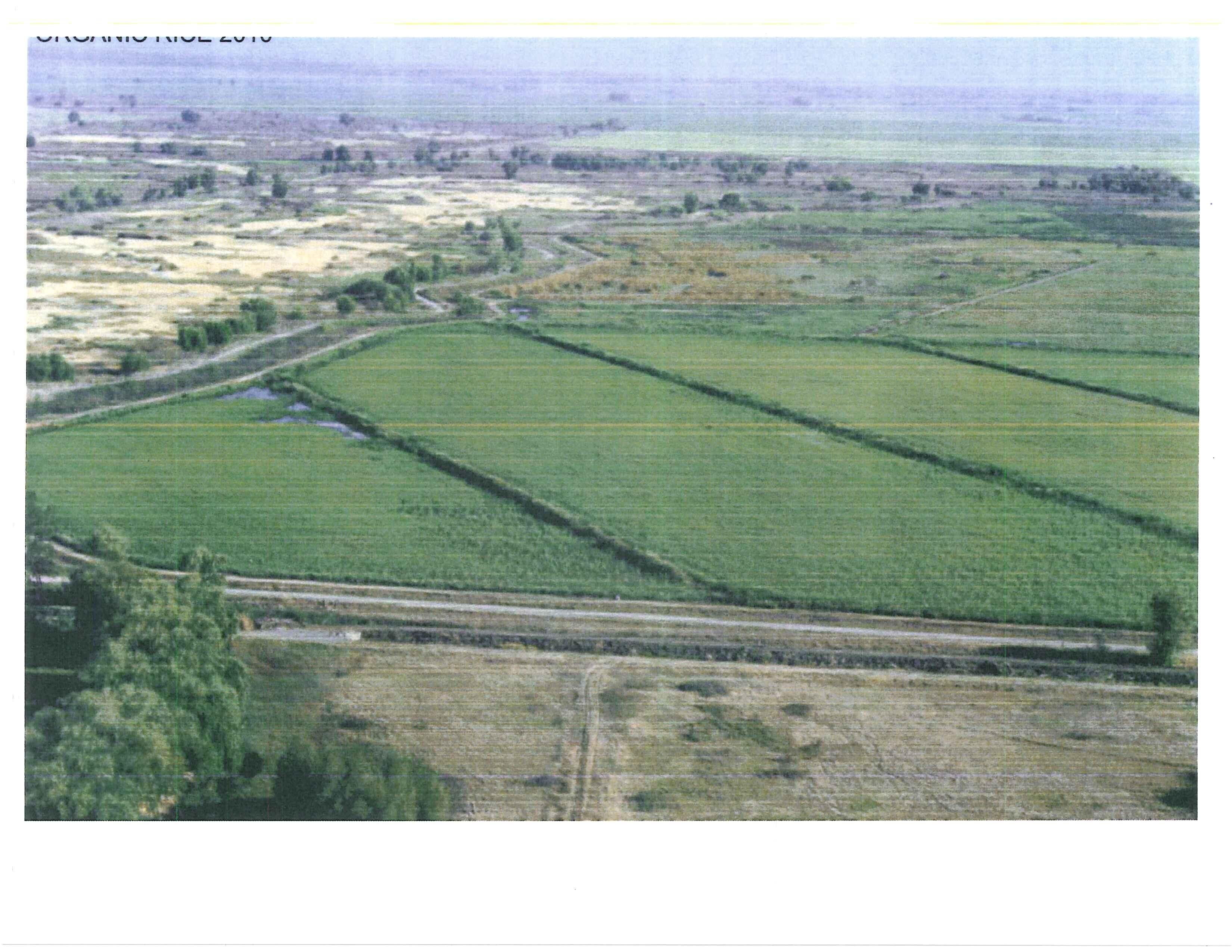294.38 acres in Logandale, CA, 95988 | Land and Farm