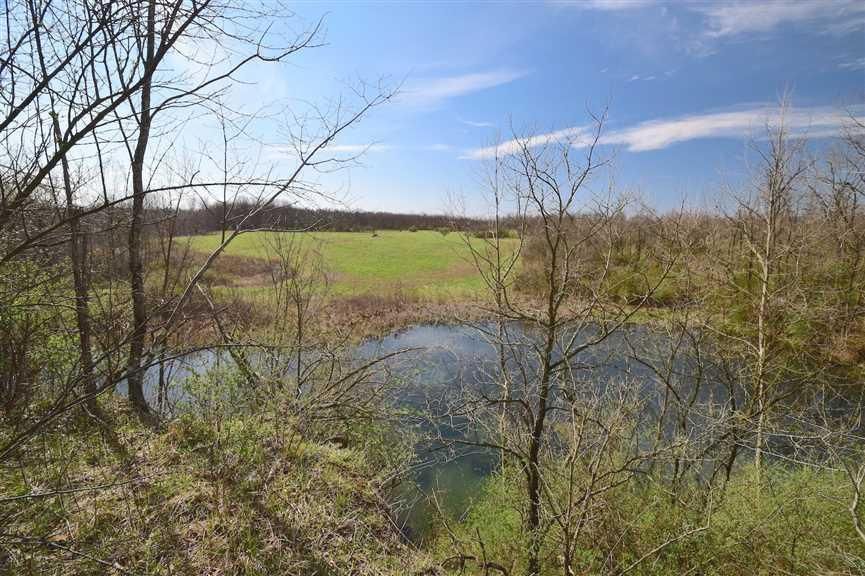 Bailey Long Rd, Bethesda, OH 43719 | Land and Farm