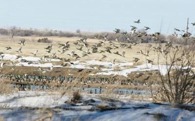 2,031.77 acres in Mcgrew, NE, 69361 | Land and Farm