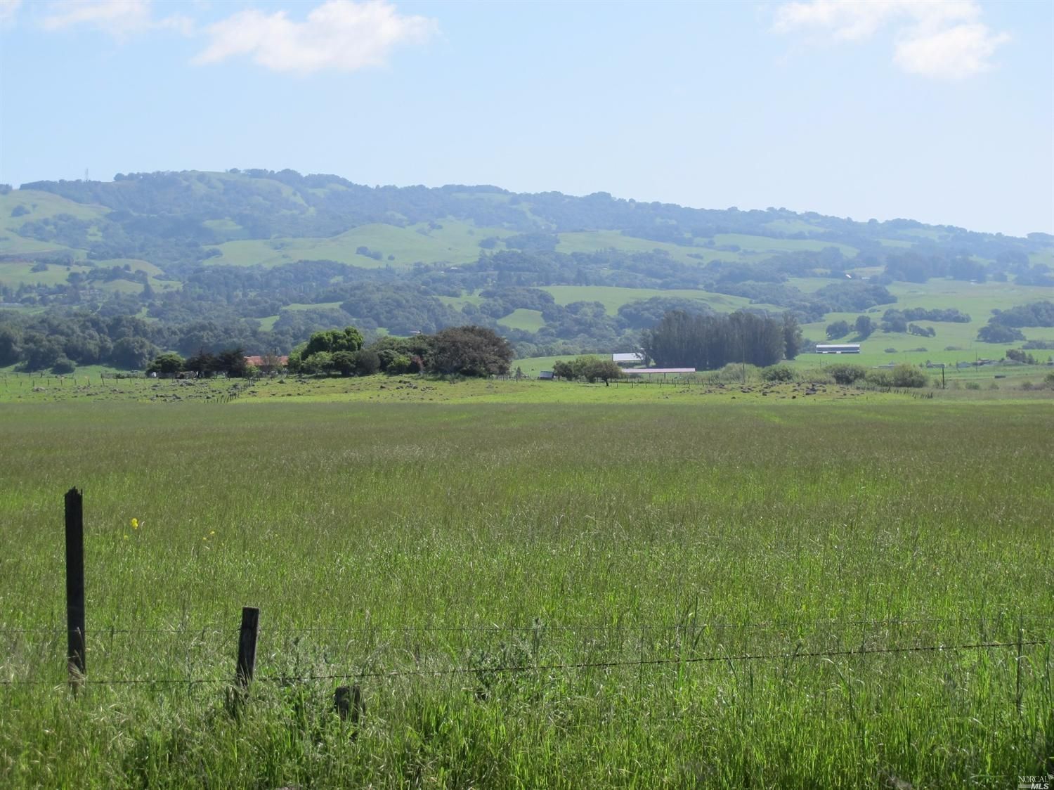 20 Acres, 7900 Petaluma Hill Road, Penngrove, CA 94951 | Land and Farm