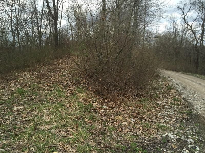 42 Acres, Furbee Ridge/Brush Run, Reader, WV 26167 | Land and Farm