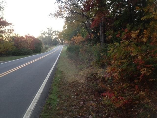 30.35 Acres, Bostic, NC 28018 | Land and Farm