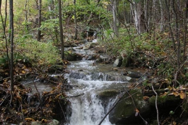 16.69 Acres, 1228 Orchard Rd, Deep Gap, NC 28618 | Land and Farm