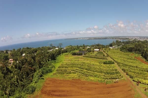 5 Acres, Lower Kaiwiki, Hilo, HI 96720 | Land and Farm