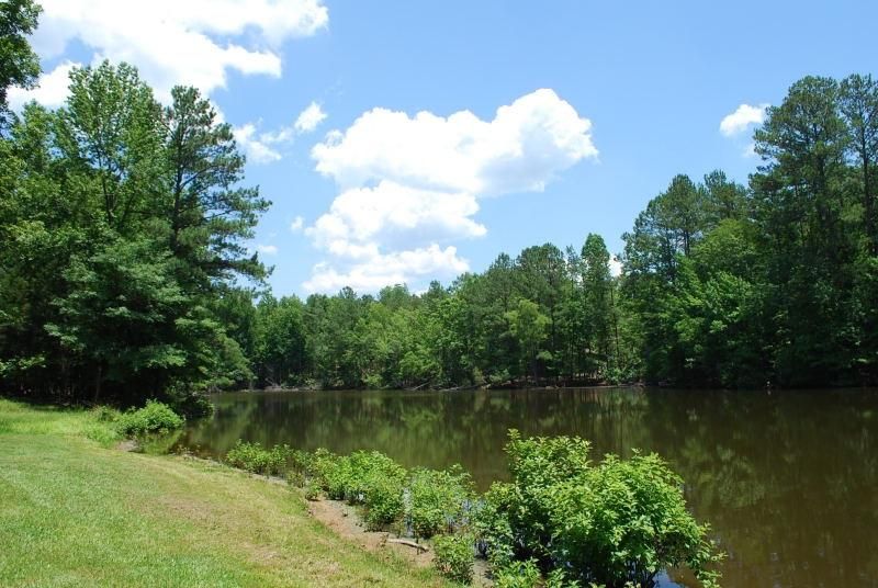 258 Acres, Tucker Town Road, Carlisle, SC 29031 | Land and Farm