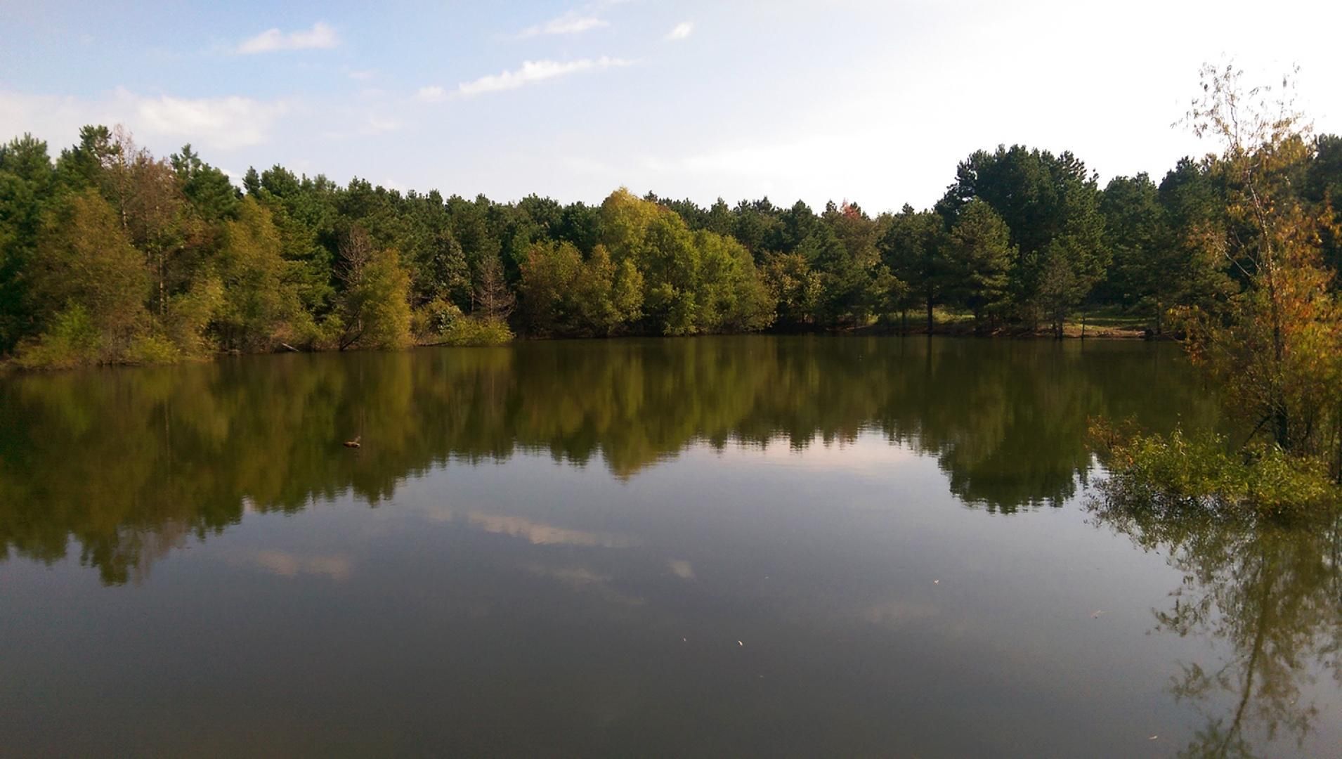 County Road 2359, Manchester, TX 75412 | Land and Farm