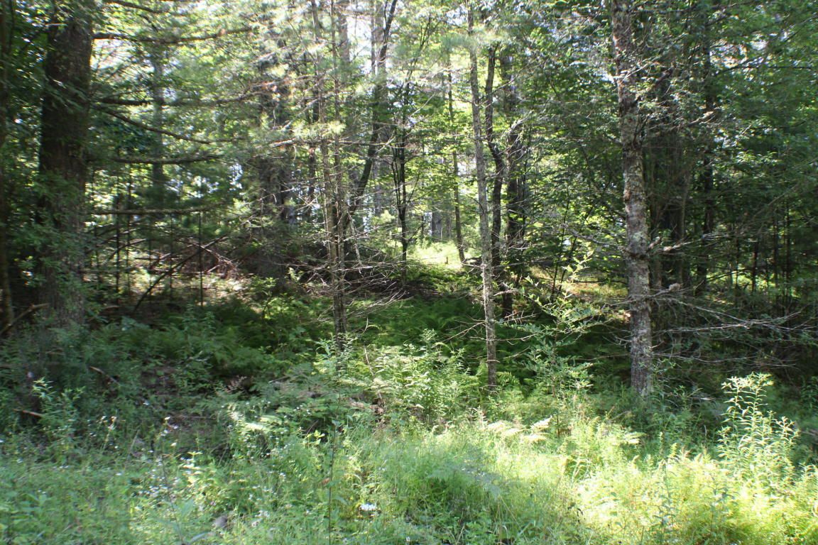 2.13 Acres, LAUREL RUN ROAD, Dunmore, WV 24934 | Land and Farm