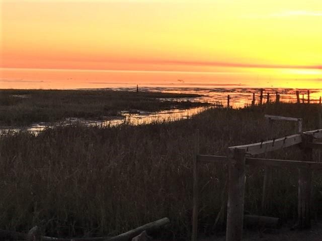 0.11 Acres, 1824 Ezell Beach Road, Perry, FL 32348 | Land and Farm