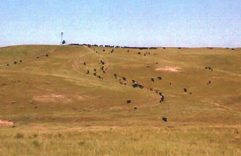 6,588 acres in Bridgeport, NE, 69336 | Land and Farm