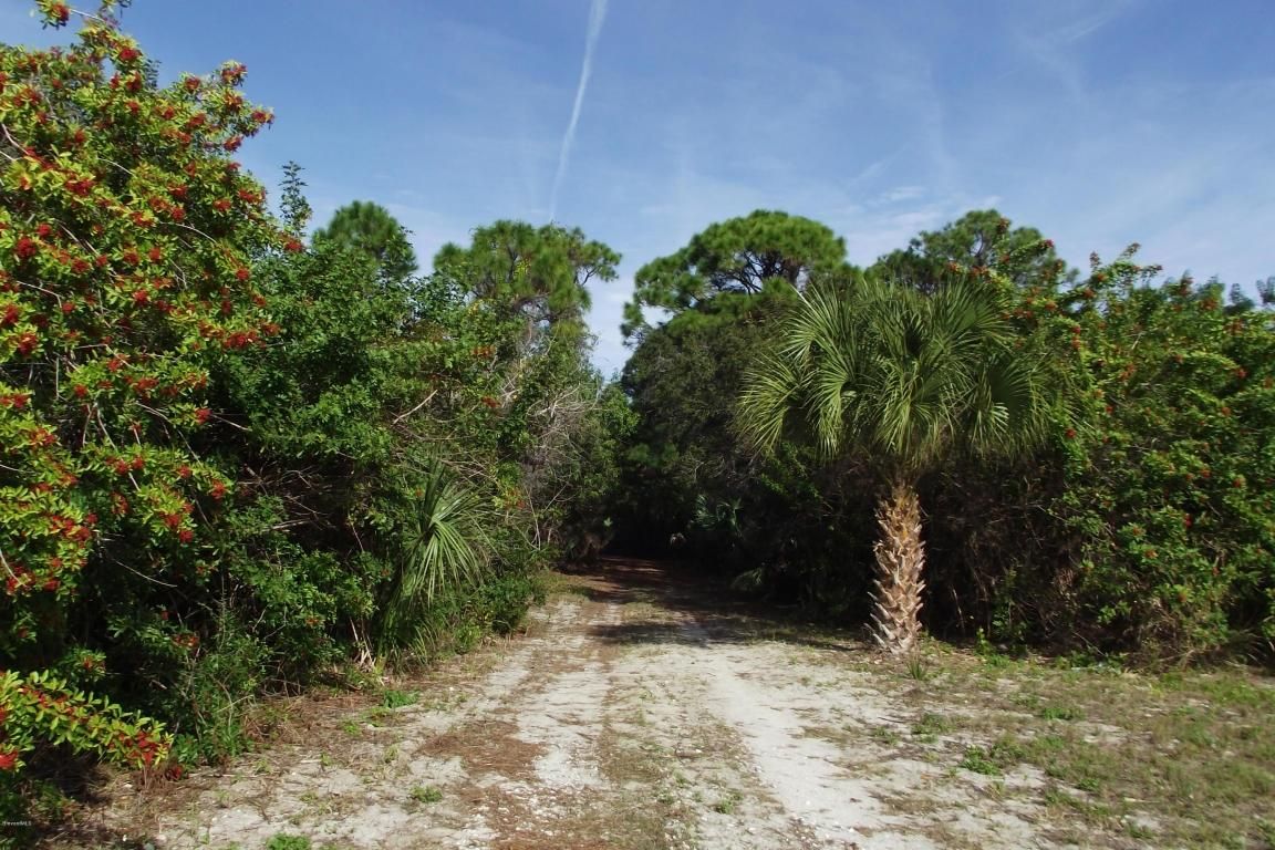 3.35 Acres, 2300 Stone Lake Drive, Merritt Island, FL 32953 | Land and Farm