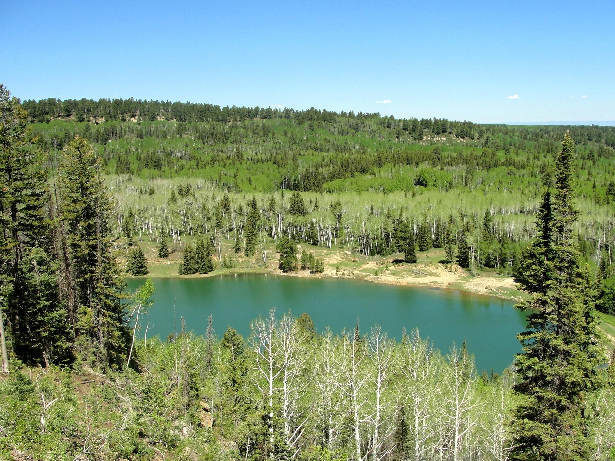 18 Road, Glade Park, CO 81523 | Land and Farm