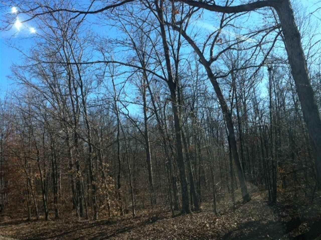 213 Acres, . BCR 904, Patton, MO 63662 | Land and Farm